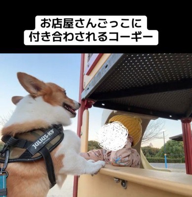 犬に『絵本の読み聞かせ』をする2歳の女の子→ずっと見ていたい『幸せな光景』が話題「めくるときに鼻に当たるの可愛い」「きゃわたまらん ...